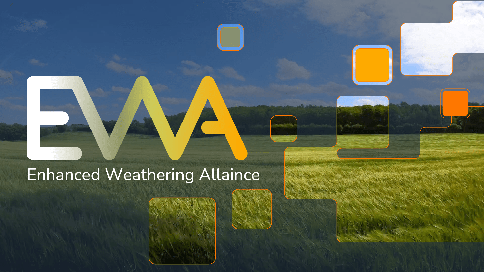 Enhanced Weathering Alliance